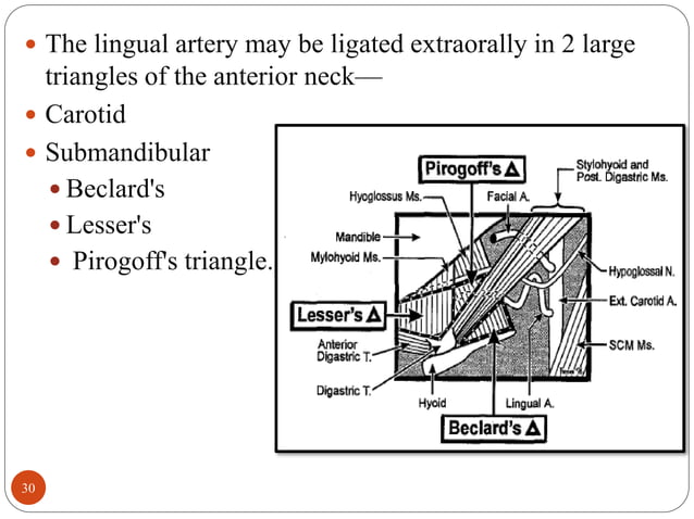 Anatomy of eca.pptx anatomy physiology and pharmacology | PPTX
