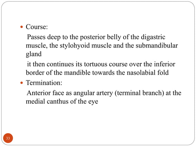 Anatomy of eca.pptx anatomy physiology and pharmacology | PPTX