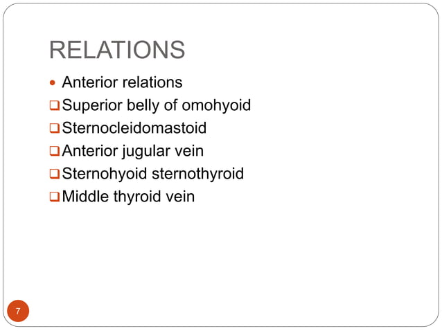 Anatomy of eca.pptx anatomy physiology and pharmacology | PPTX