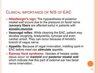 ANATOMY OF EXTERNAL EAR | PPTX