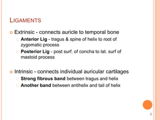 ANATOMY OF EXTERNAL EAR | PPTX