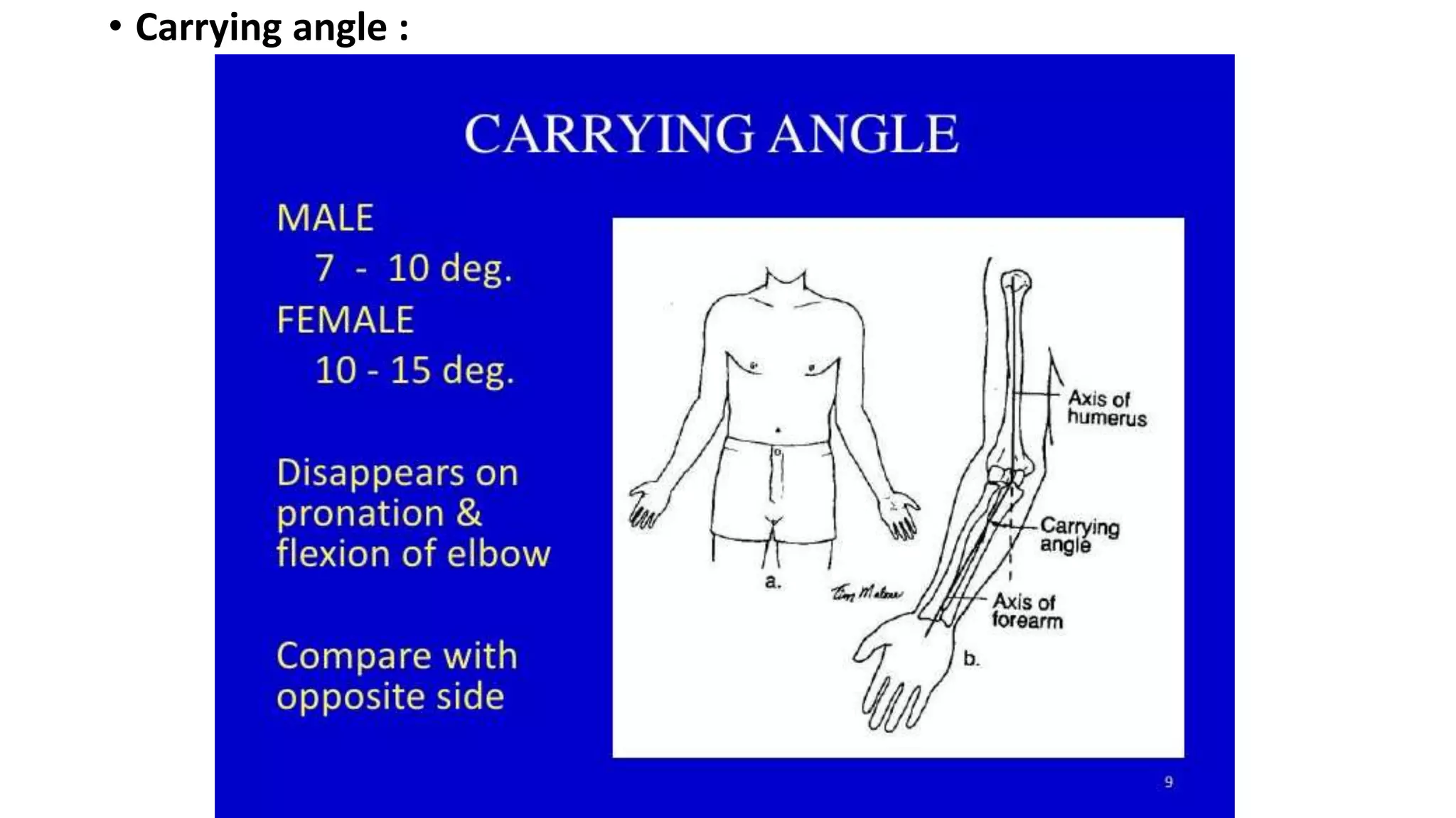 Anatomy of elbow and INTERCONDYLAR FRACTURE OF THE HUMERUS | PPTX