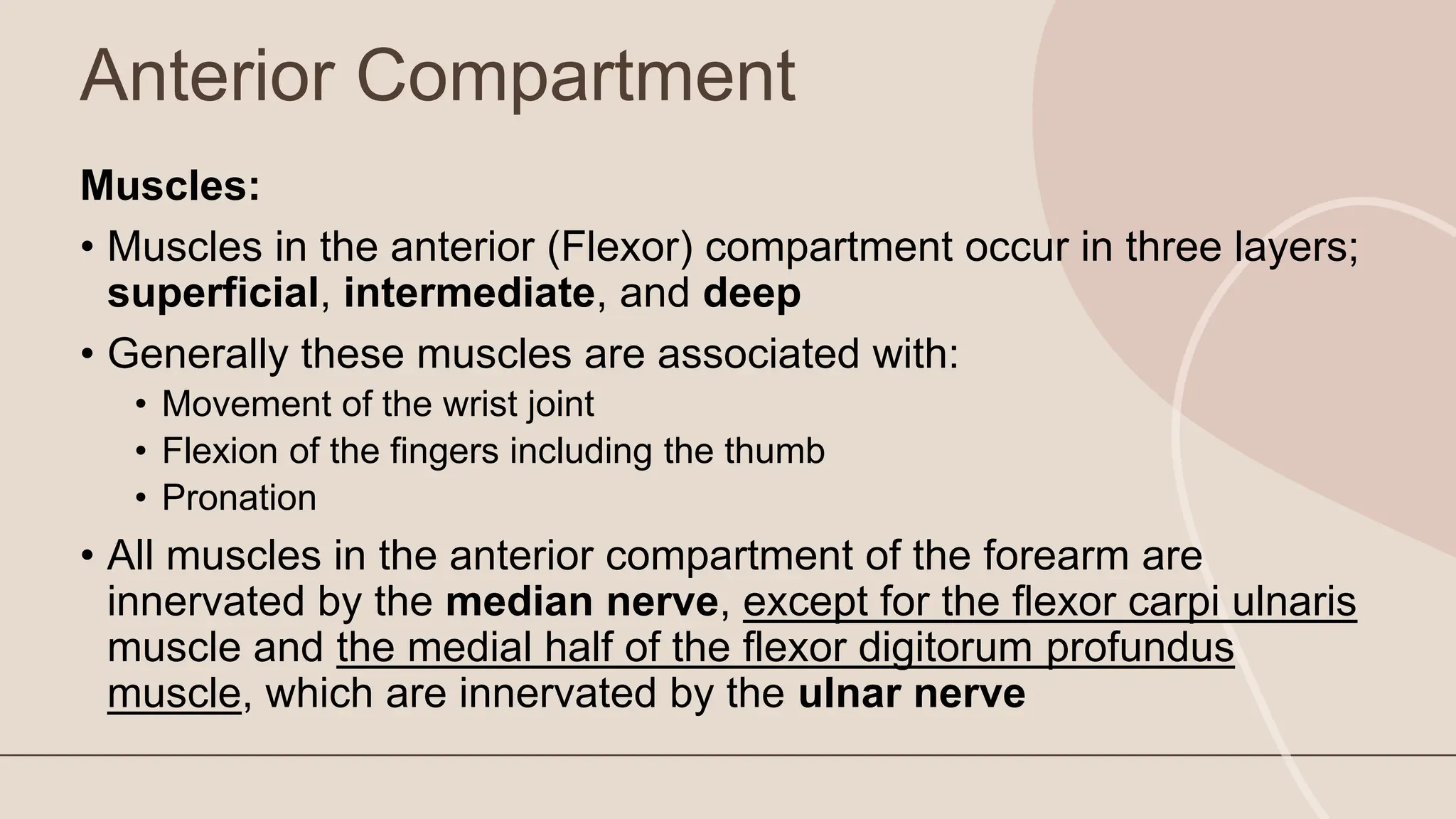 Anatomy of Elbow and Forearm.pptx
