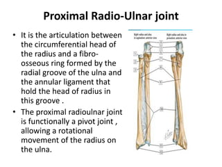 anatomy of elbow joint by dr kafwimbi chola | PPT