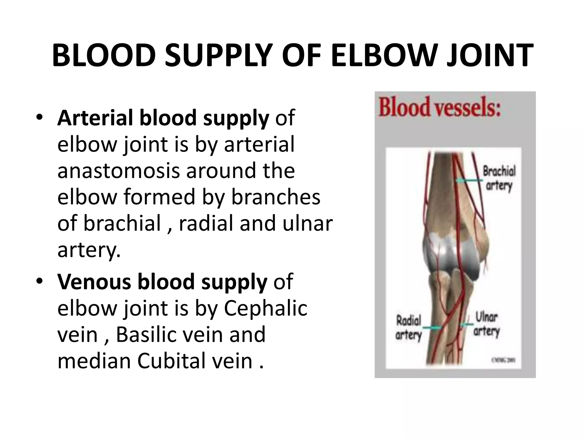 Anatomy of elbow joint | PPTX
