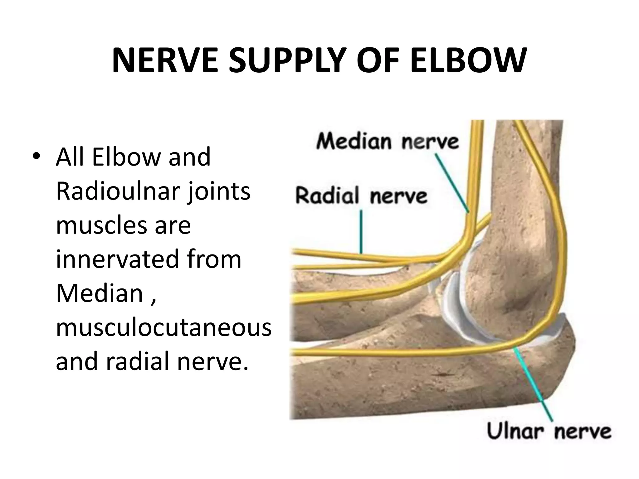 Anatomy of elbow joint | PPTX