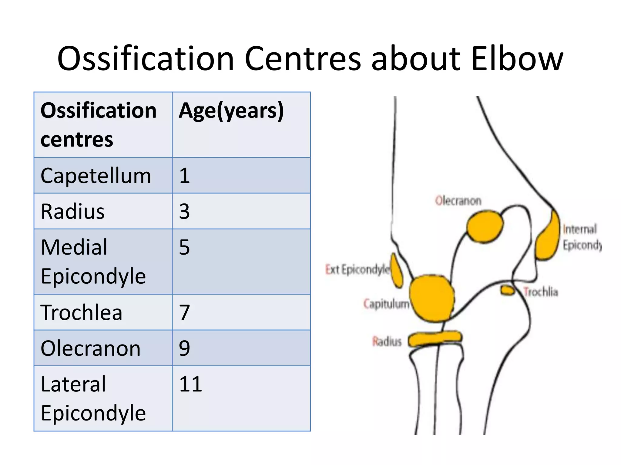 Anatomy of elbow joint | PPTX