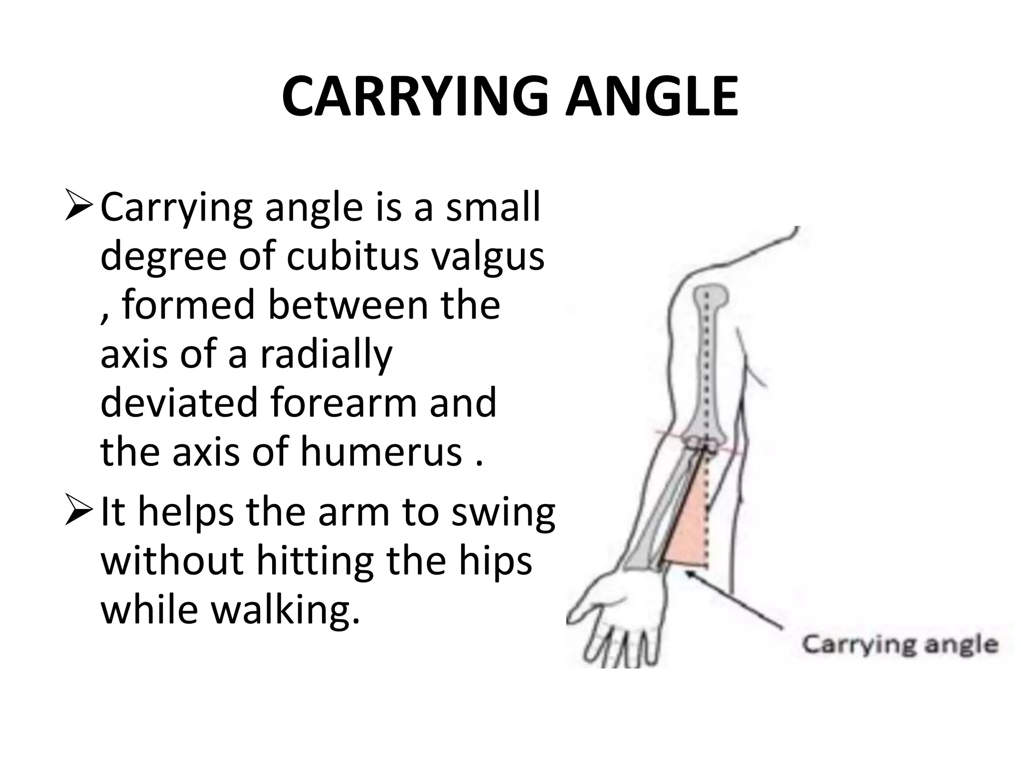 Anatomy of elbow joint | PPTX