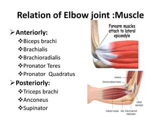 Anatomy of elbow joint | PPTX