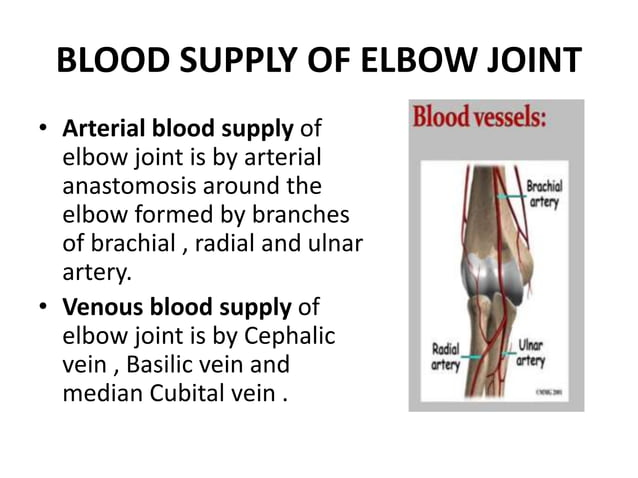 Anatomy of elbow joint | PPTX
