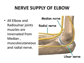 Anatomy of elbow joint | PPTX