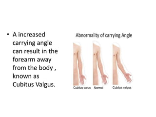Anatomy of elbow joint | PPTX