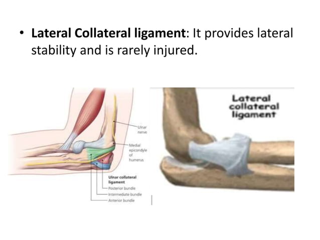 Anatomy of elbow joint | PPTX