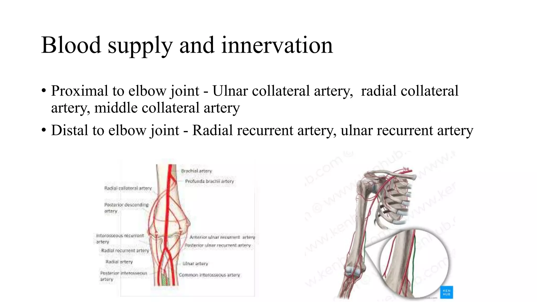 ANATOMY OF ELBOW JOINT.pptx