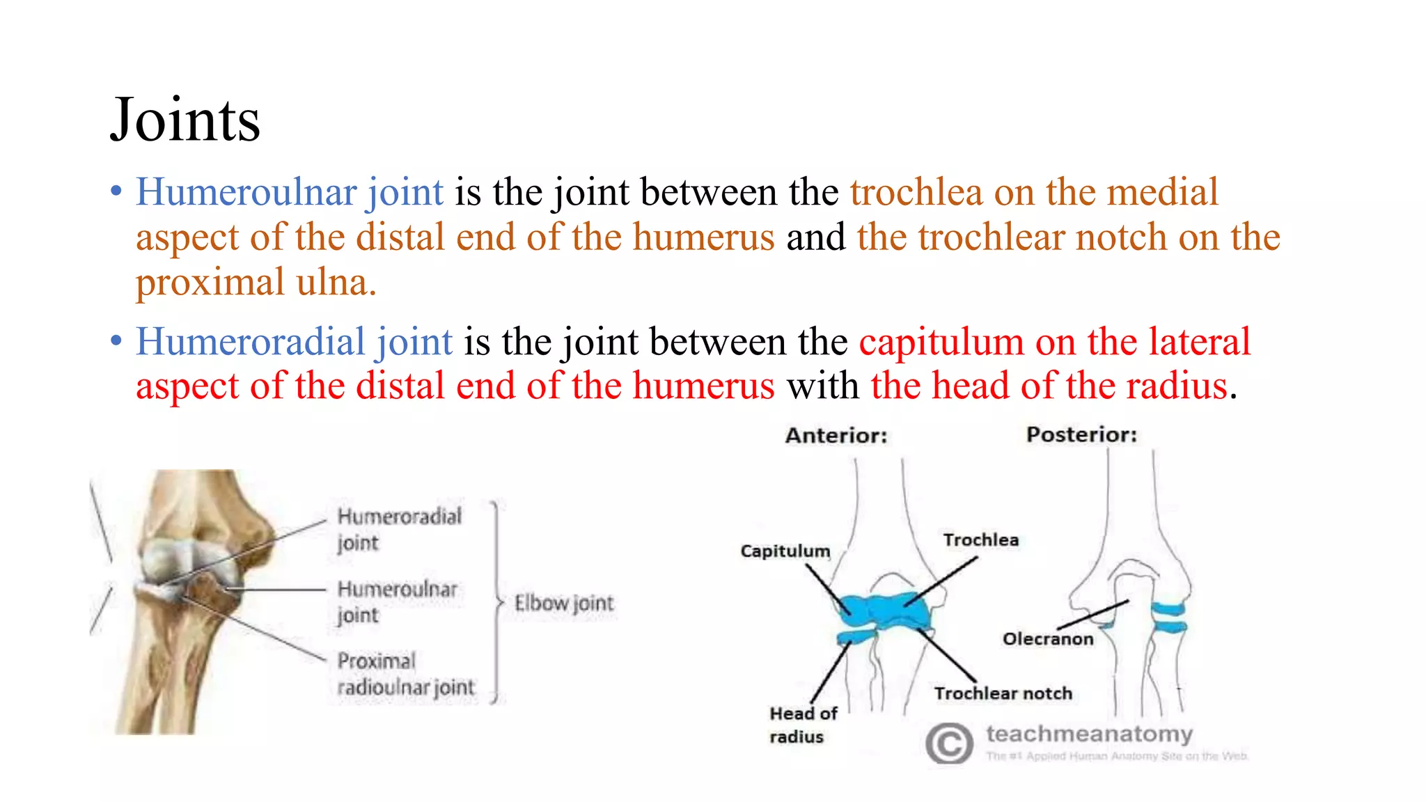 ANATOMY OF ELBOW JOINT.pptx