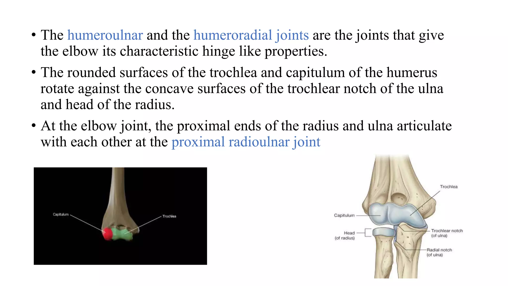 ANATOMY OF ELBOW JOINT.pptx