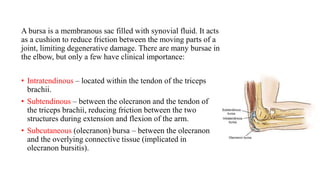 ANATOMY OF ELBOW JOINT.pptx