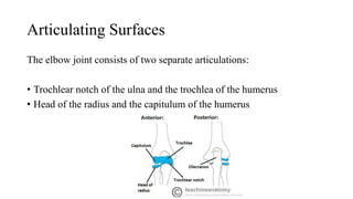 ANATOMY OF ELBOW JOINT.pptx
