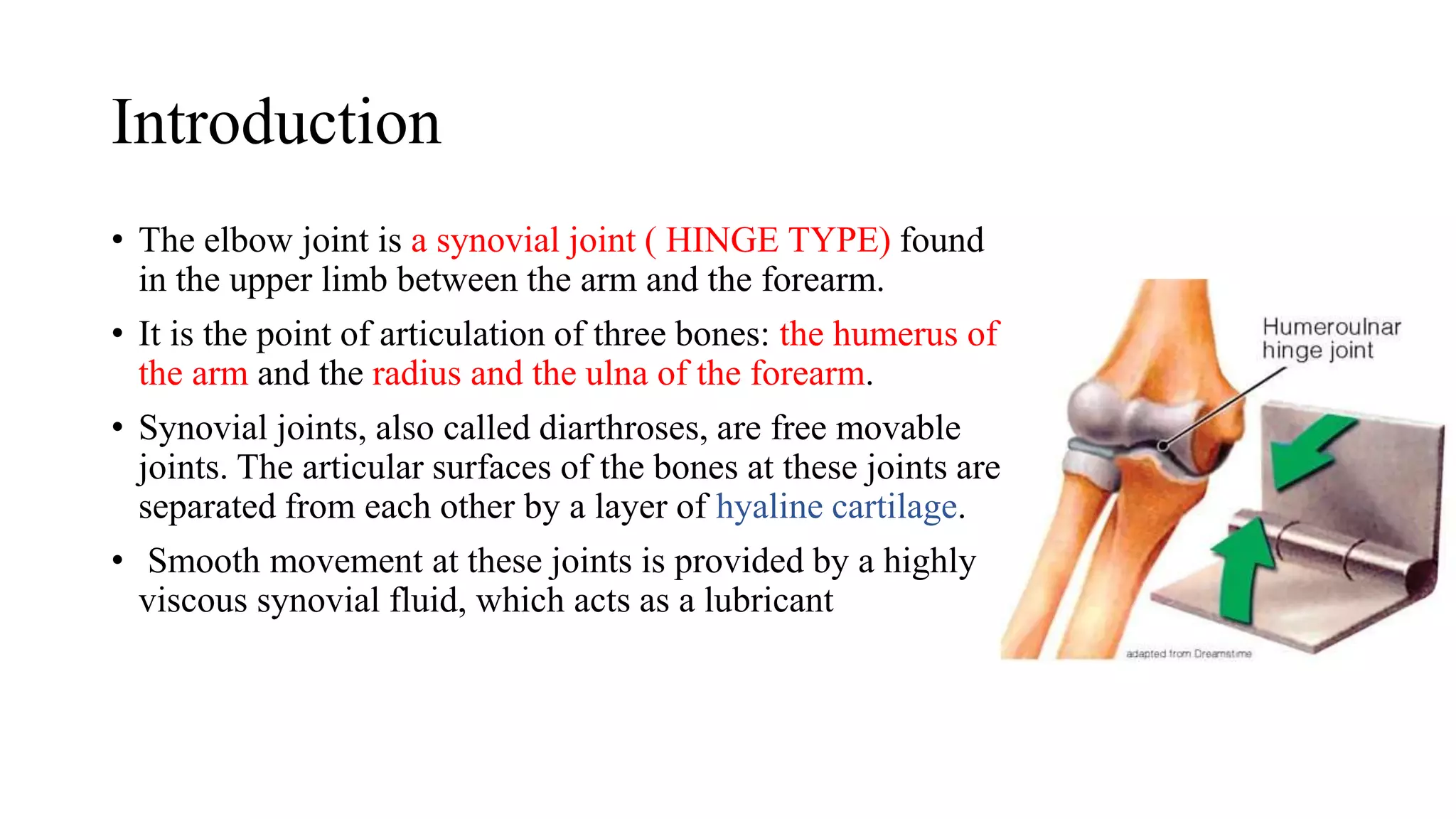 ANATOMY OF ELBOW JOINT.pptx