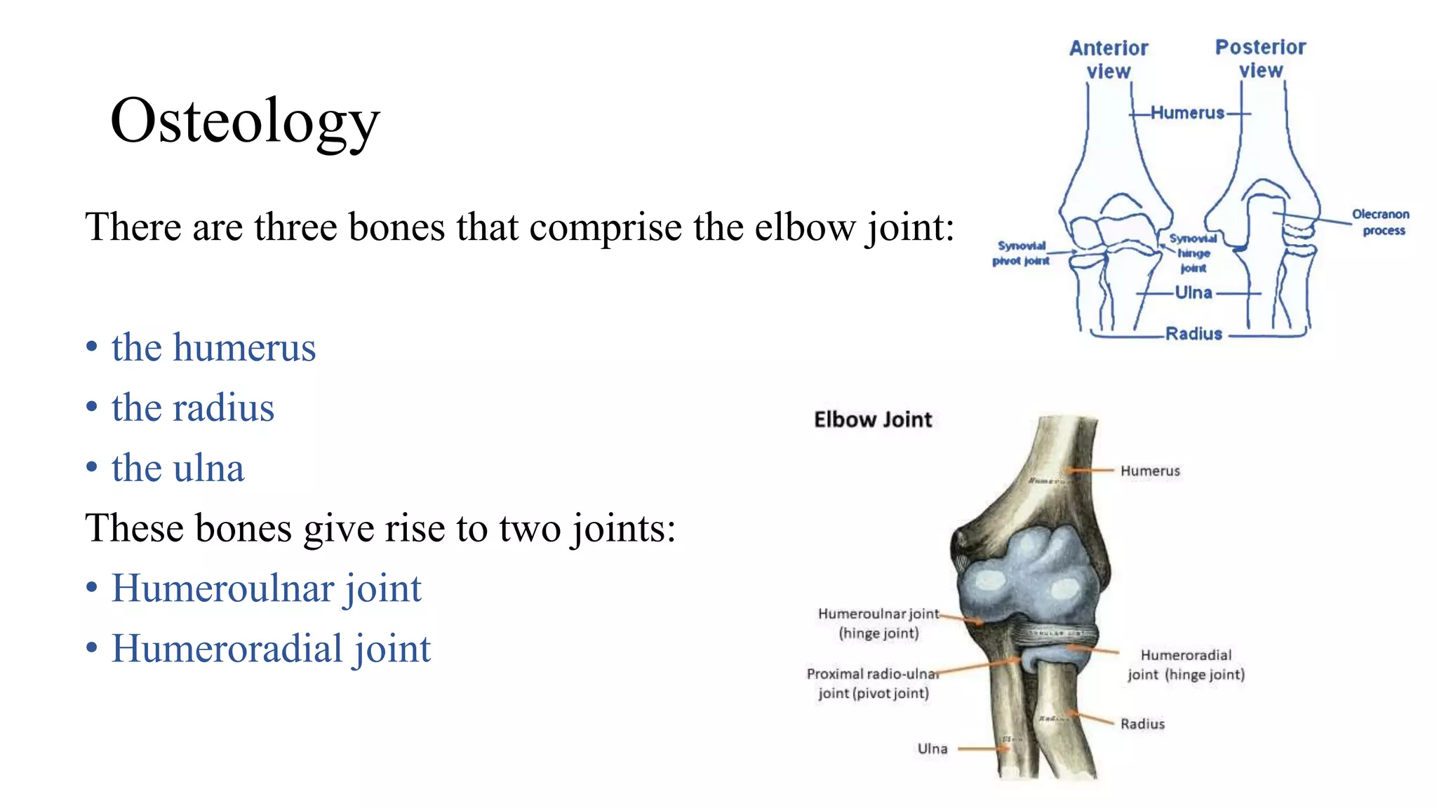 ANATOMY OF ELBOW JOINT.pptx