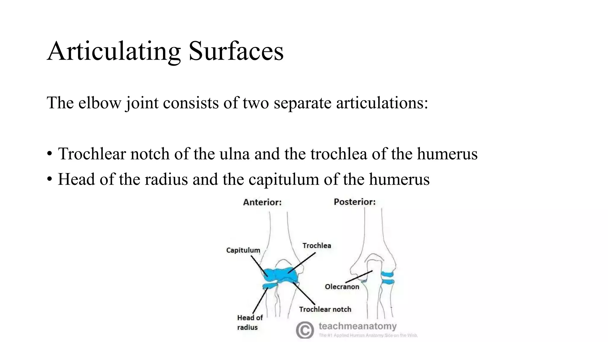 ANATOMY OF ELBOW JOINT.pptx