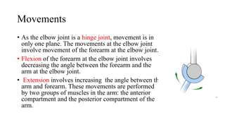 ANATOMY OF ELBOW JOINT.pptx
