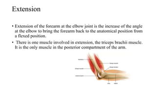 ANATOMY OF ELBOW JOINT.pptx