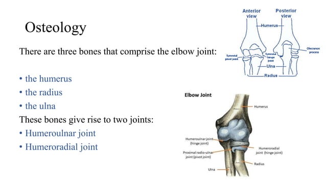 ANATOMY OF ELBOW JOINT.pptx