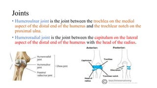 ANATOMY OF ELBOW JOINT.pptx