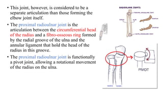 ANATOMY OF ELBOW JOINT.pptx