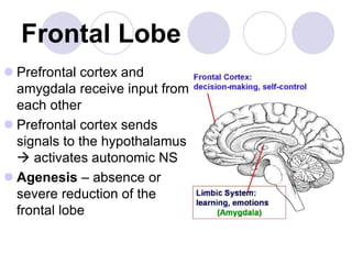 Anatomy of emotions | PPTX