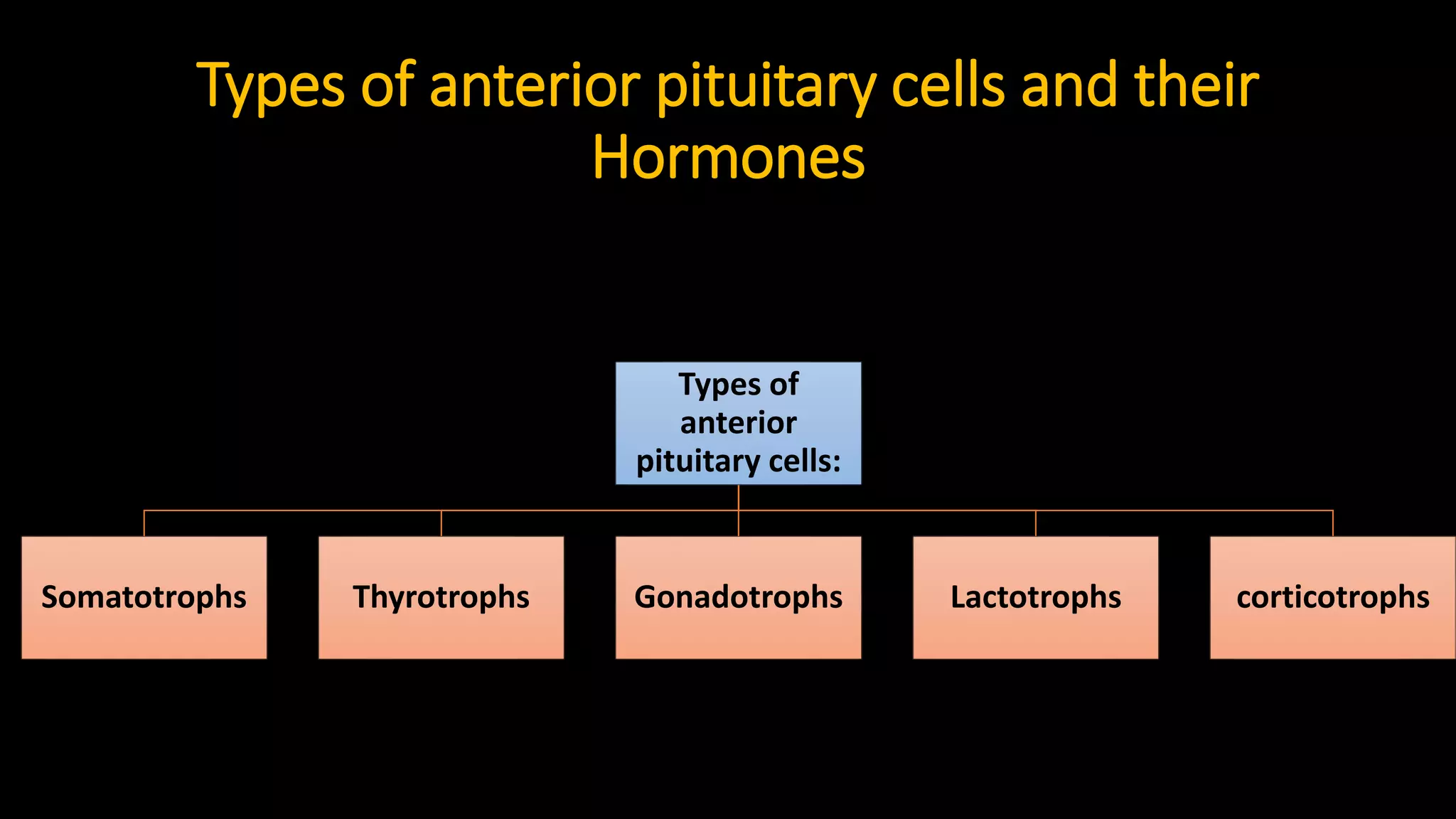 Anatomy of endocrine system | PPTX