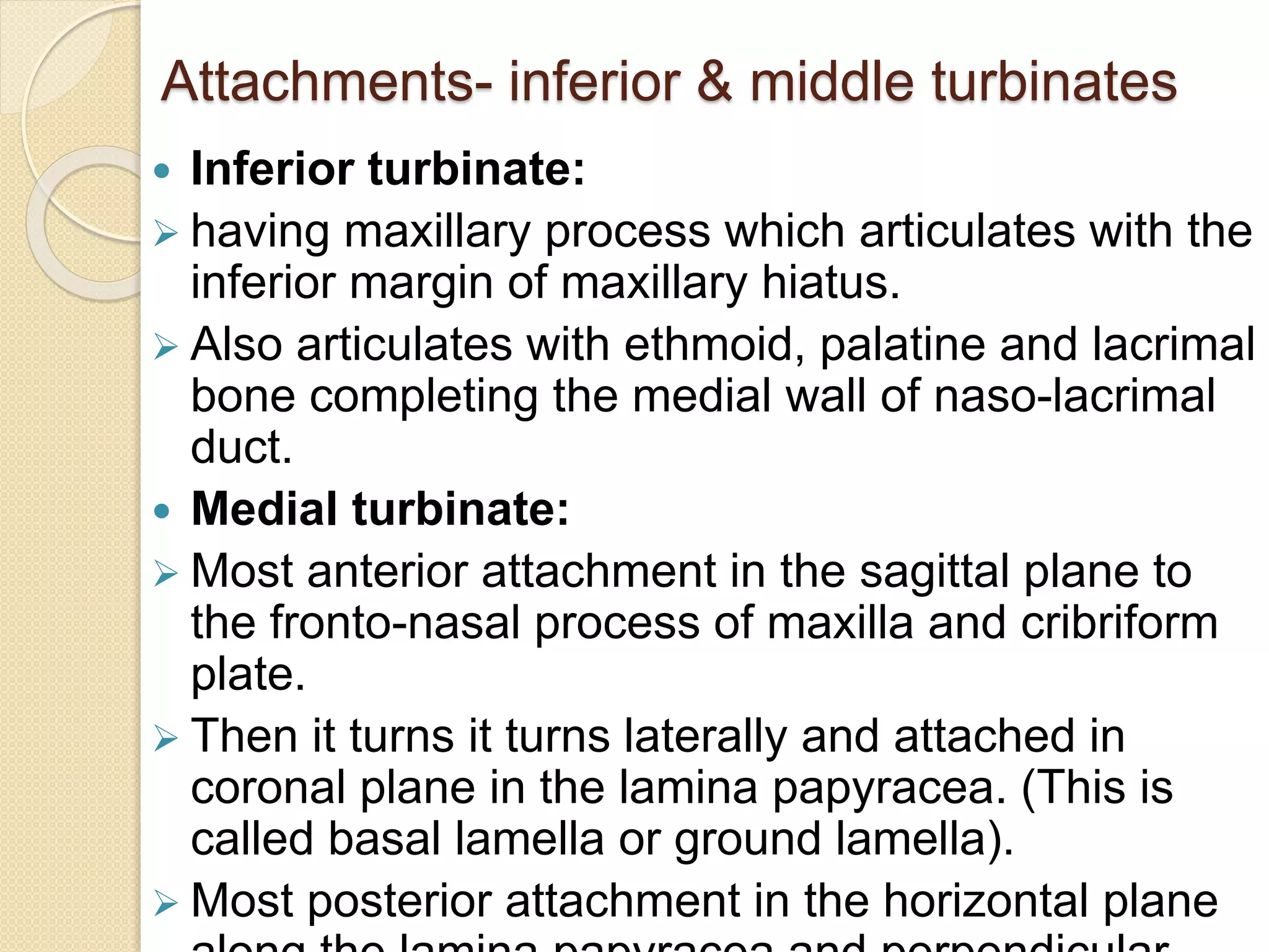 Anatomy of nose and para nasal sinuses . by DR. MD. KHURSHID PERVEJ ...