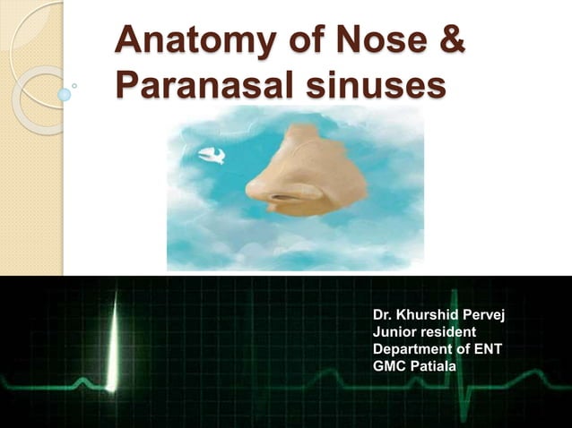 Anatomy of nose and para nasal sinuses . by DR. MD. KHURSHID PERVEJ ...