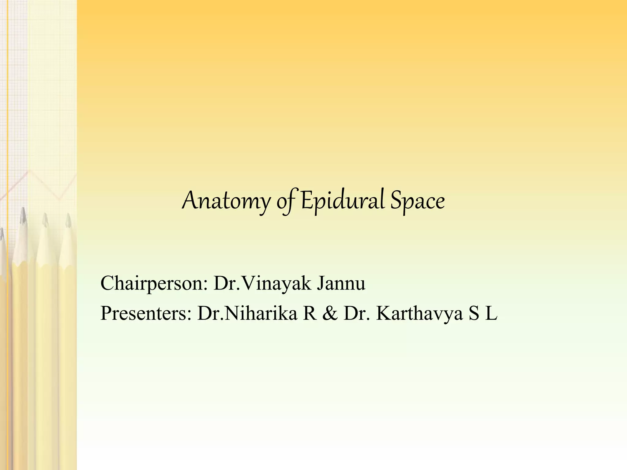 Anatomy of epidural space | PPTX