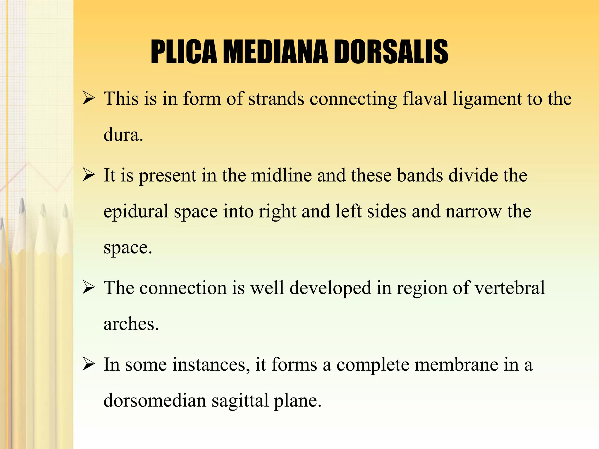 Anatomy of epidural space | PPTX