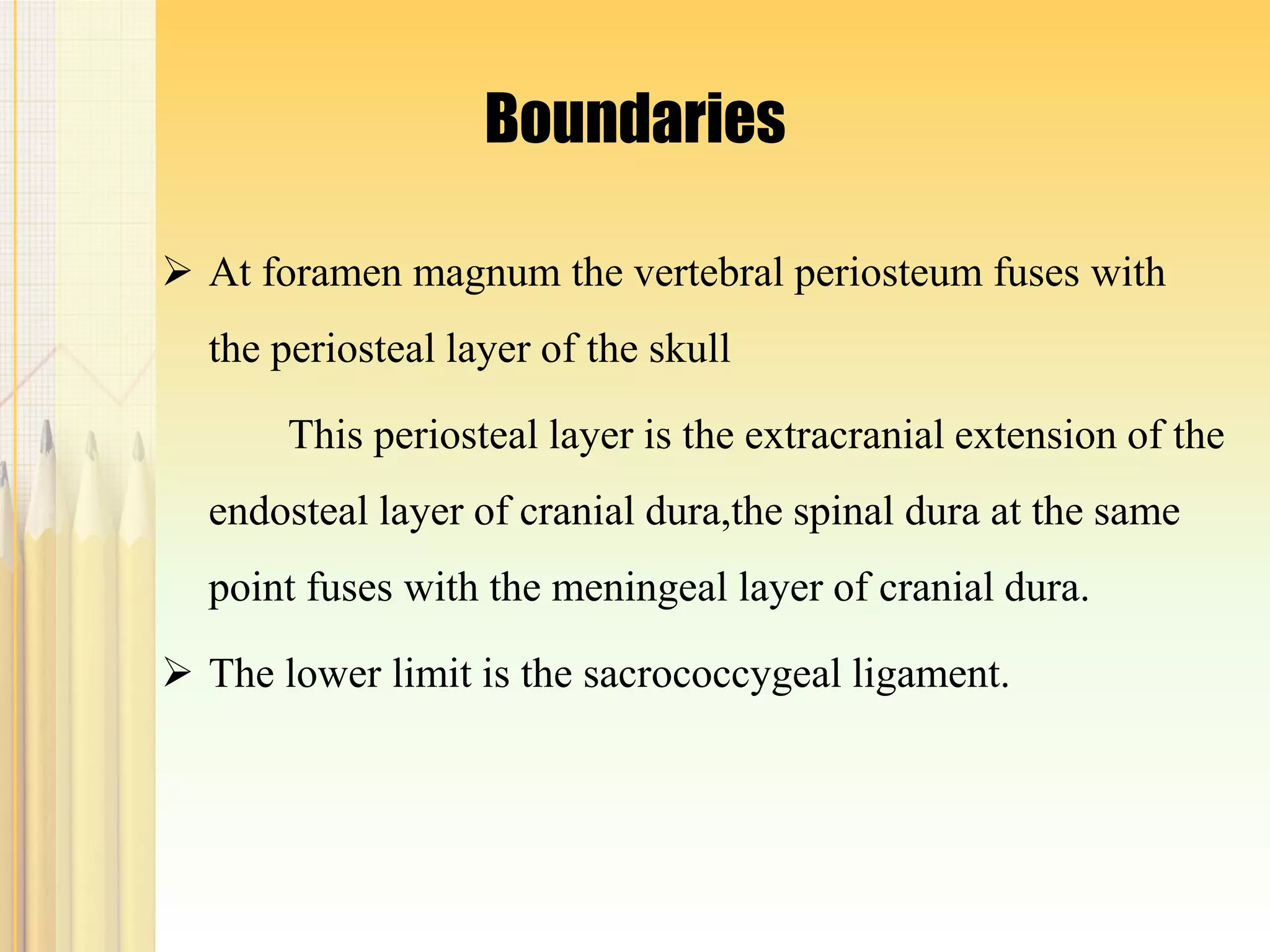 Anatomy of epidural space | PPTX
