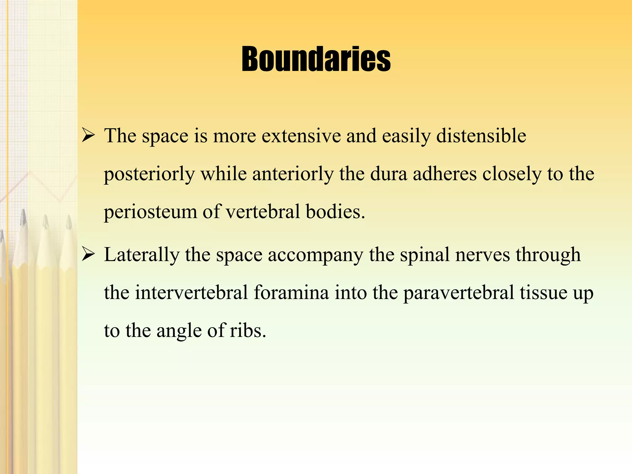 Anatomy of epidural space | PPTX