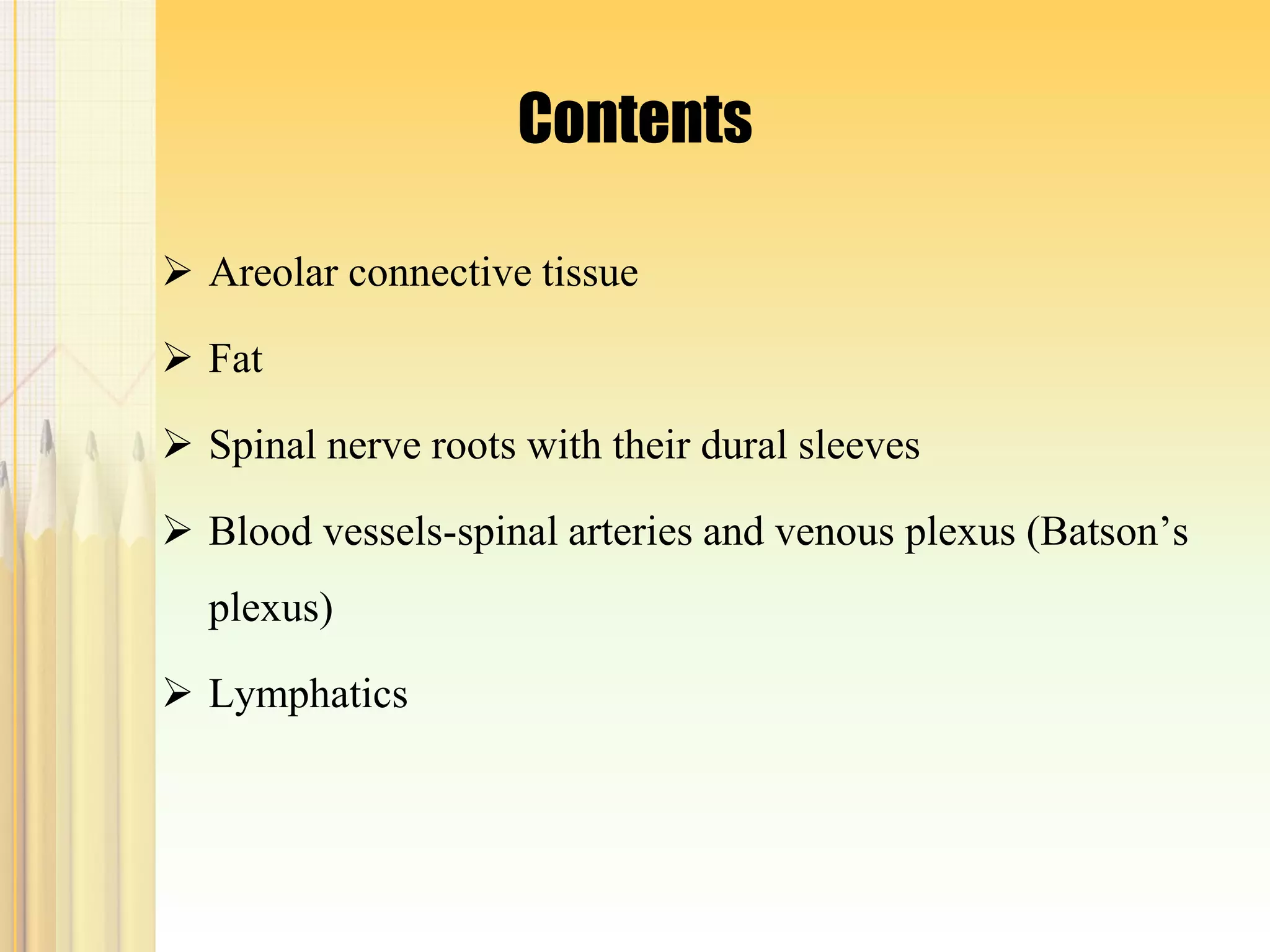 Anatomy of epidural space | PPTX