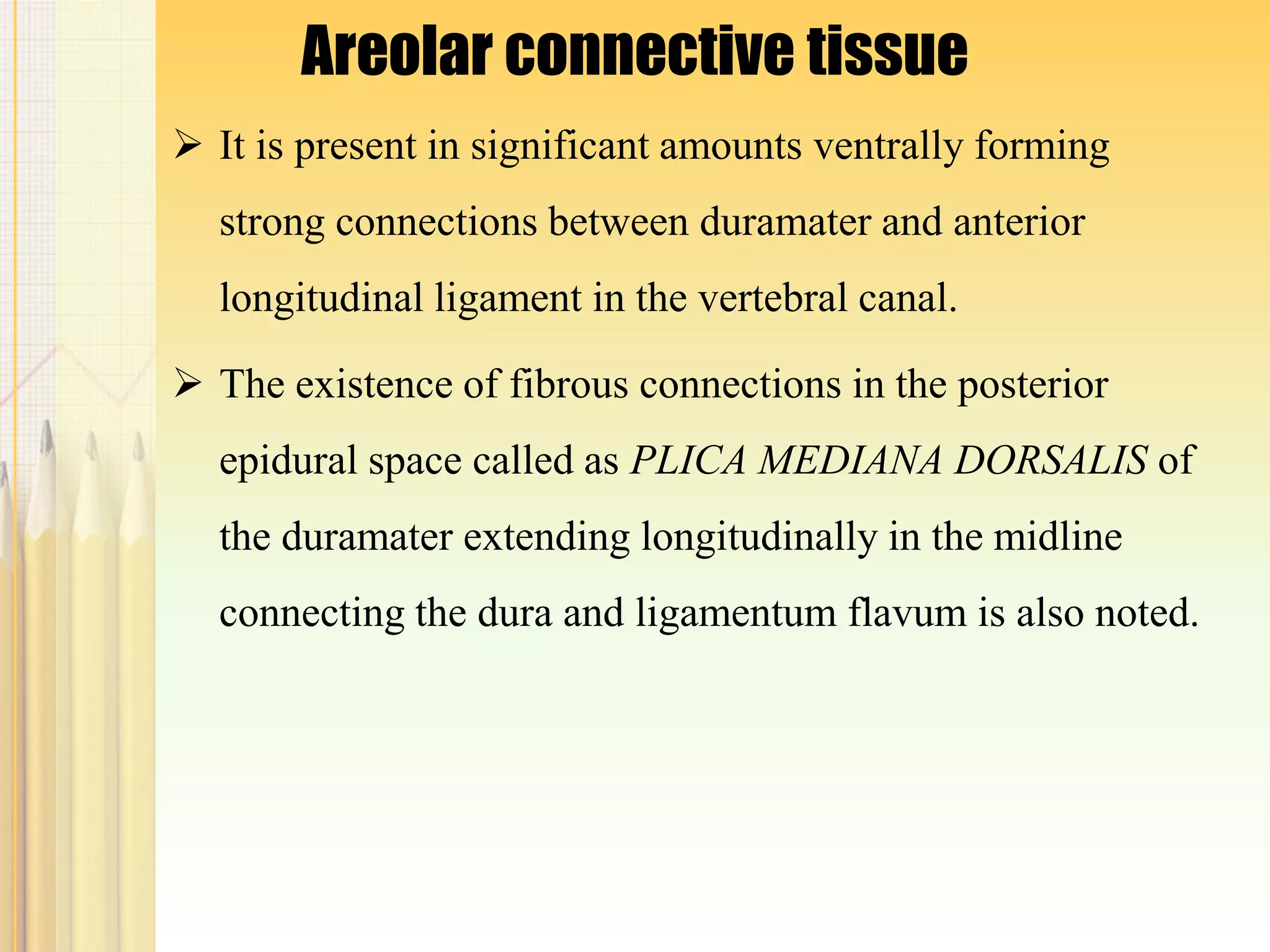 Anatomy of epidural space | PPTX