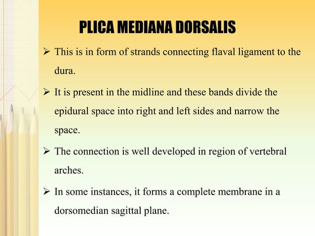 Anatomy of epidural space | PPTX