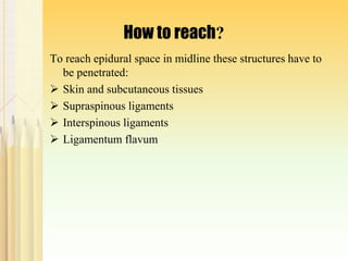 Anatomy of epidural space | PPTX