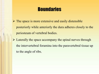 Anatomy of epidural space | PPTX