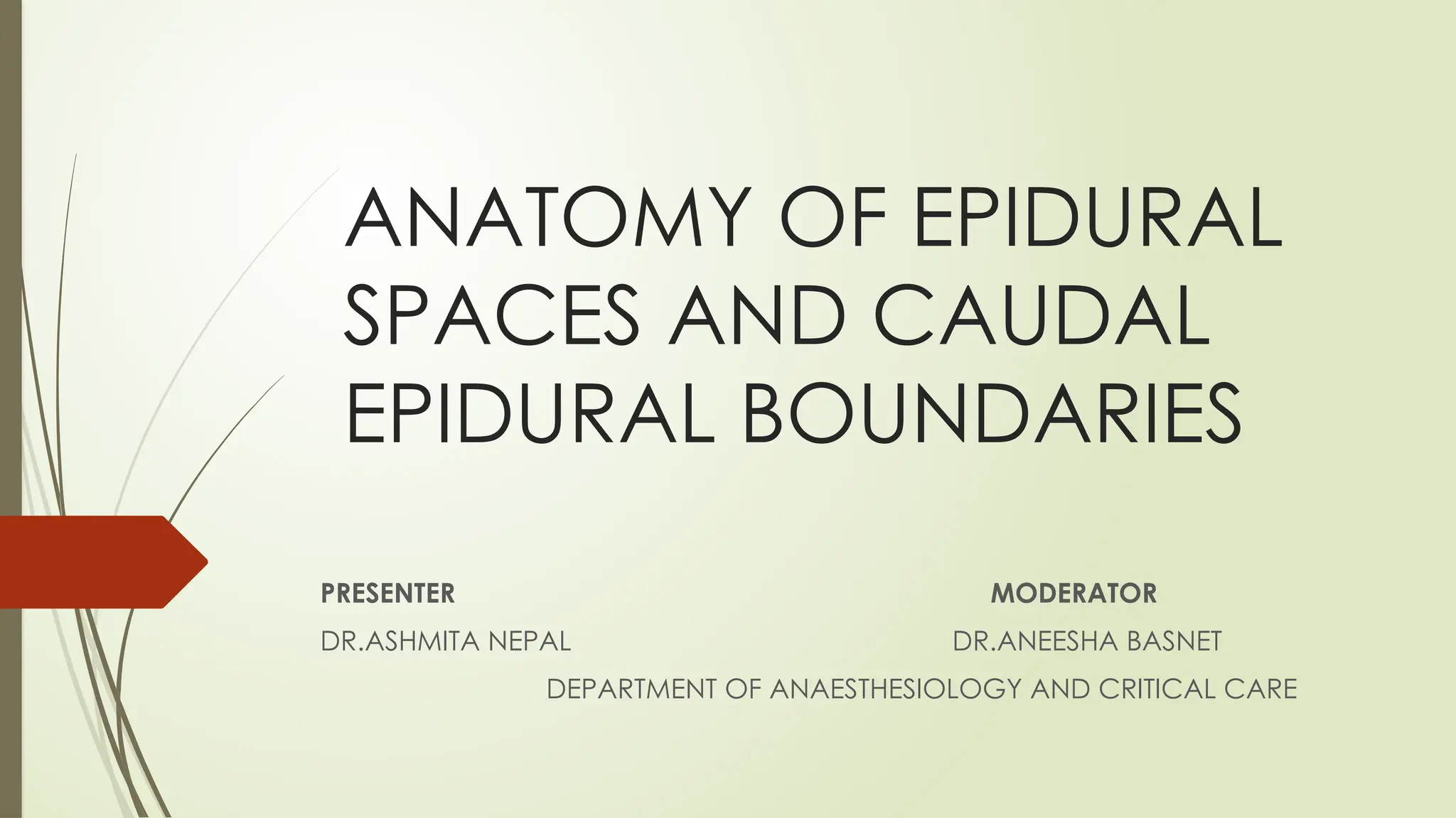 ANATOMY OF EPIDURAL SPACES AND CAUDAL EPIDURAL BOUNDARIES.pptx