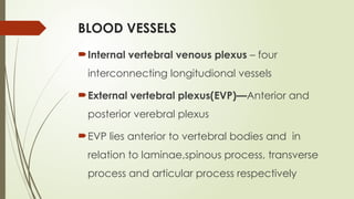 ANATOMY OF EPIDURAL SPACES AND CAUDAL EPIDURAL BOUNDARIES.pptx