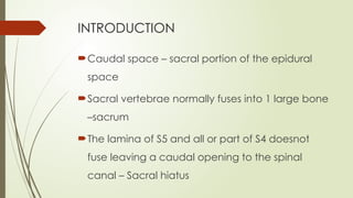 ANATOMY OF EPIDURAL SPACES AND CAUDAL EPIDURAL BOUNDARIES.pptx
