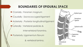 ANATOMY OF EPIDURAL SPACES AND CAUDAL EPIDURAL BOUNDARIES.pptx