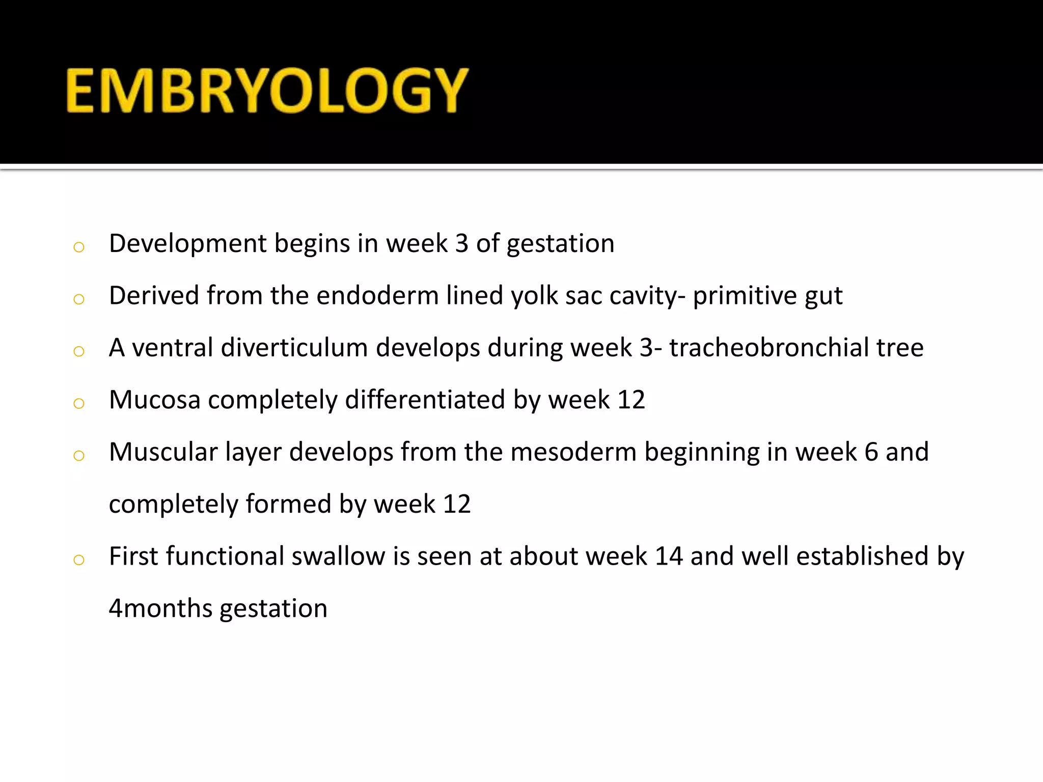 Anatomy of esophagus | PPTX