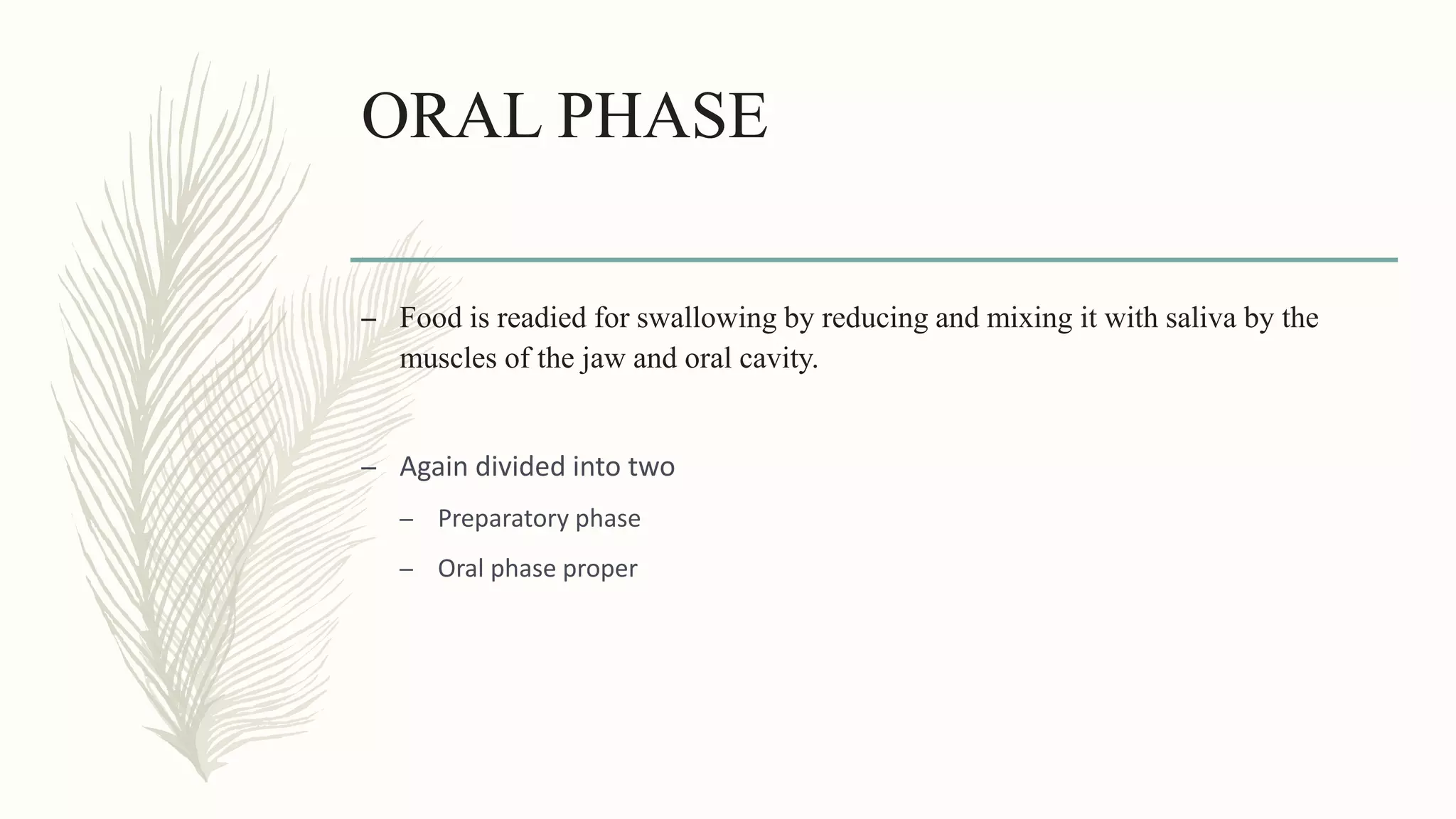 Anatomy of esophagus and physiology of swallowing | PPTX