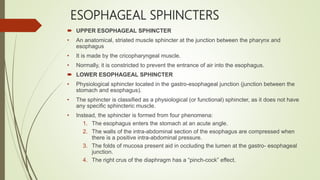Anatomy of esophagus | PPTX
